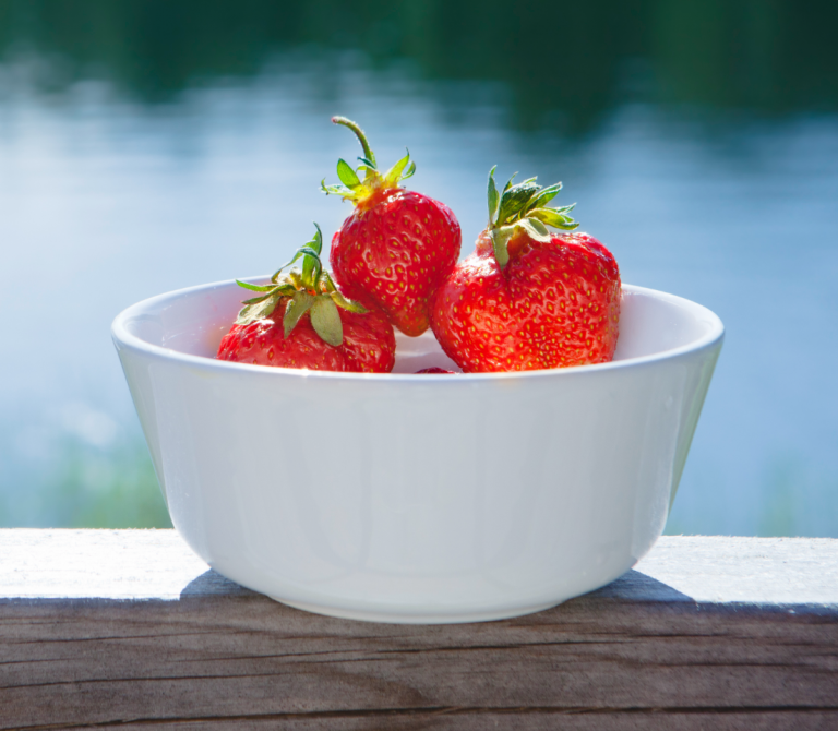 Kundanpassade vågar och registreringssystem - Flintab